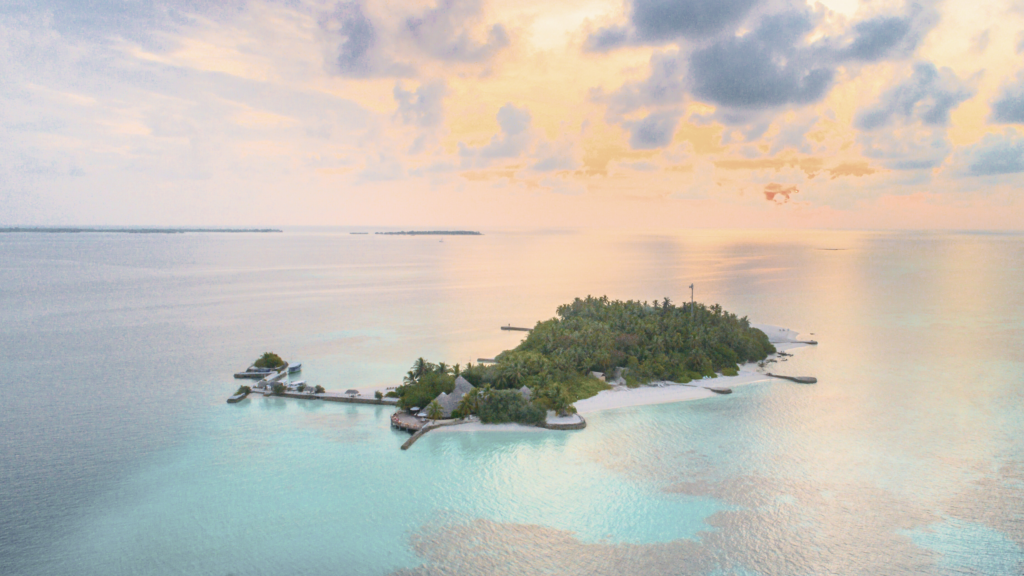 TrustQore - Trust and Corporate Services