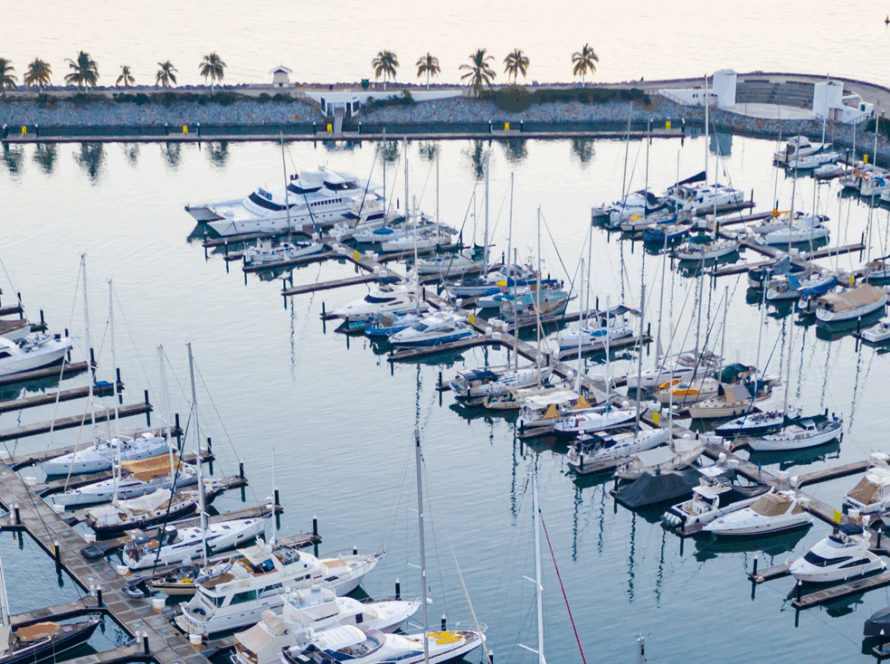 TrustQore - Trust and Corporate Services